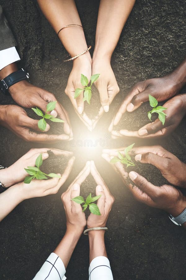 Business at Its Basic Roots. a Group of People Holding Plants Growing ...