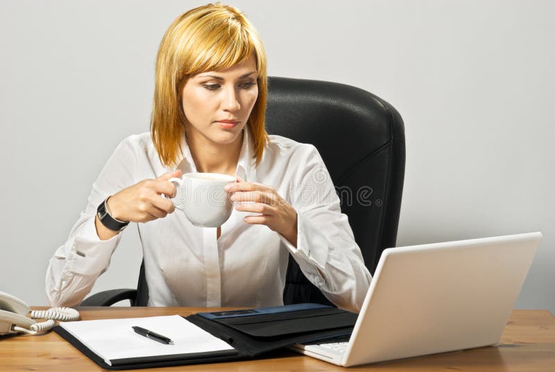 Business Lady with Laptop stock image. Image of blond - 6071683