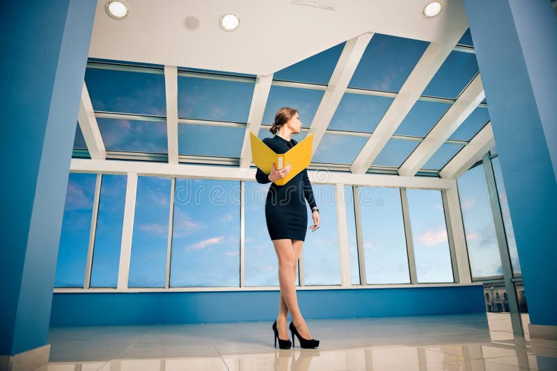 Business lady stock photo. Image of documents, caucasian - 36023326