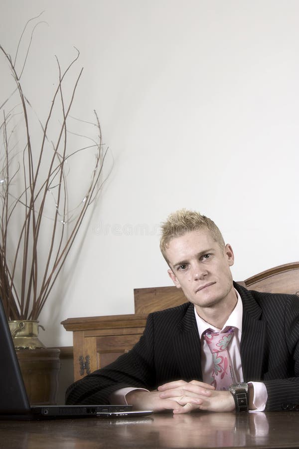 Business man with computer stock image. Image of watch - 12705125