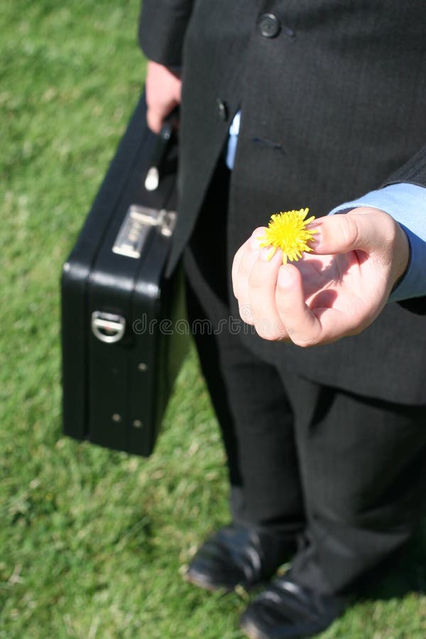 Business man with flower stock photo. Image of businessmen - 894702