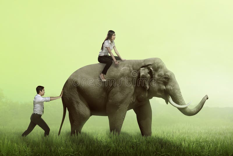Business Man Help Pushing Elephant while His Friend Sit on it Stock ...