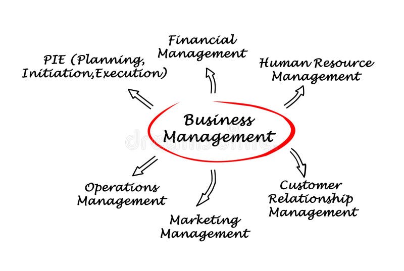 Business Management stock illustration. Illustration of customer - 85647809
