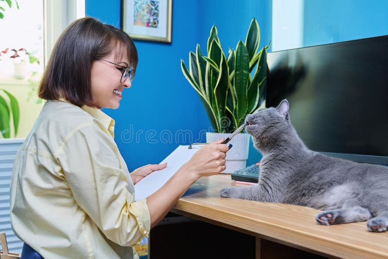 Business Woman Working from Home, Using Computer, Along with Pet Cat ...