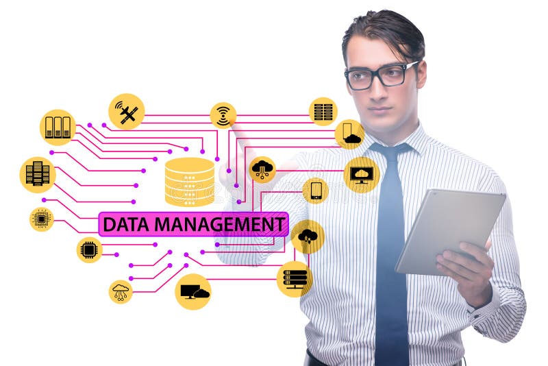 Business People in Data Management Concept Stock Illustration ...