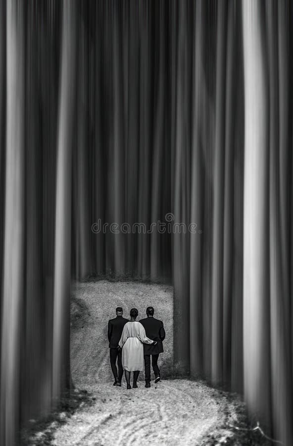 Business People Walking on Path through Abstract Forest Stock Image ...