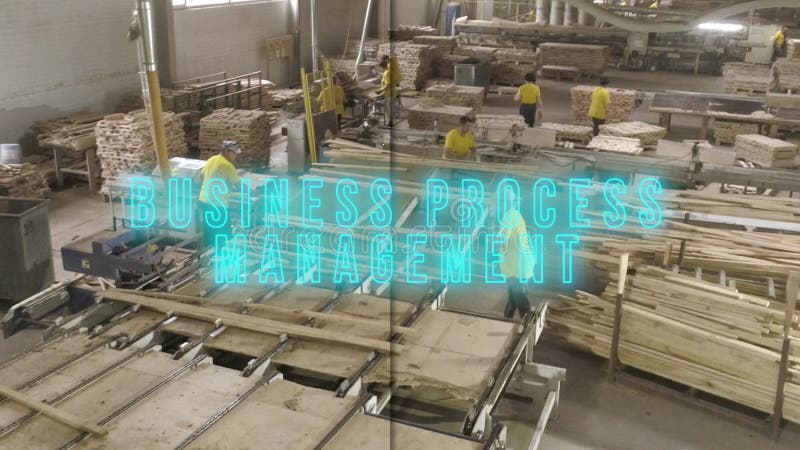 Business Process Management. Business Process Management Opening Frame ...