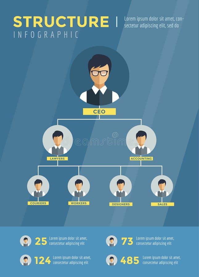 Business Structure. Organisation Chart. Infographic Design Stock Vector ...