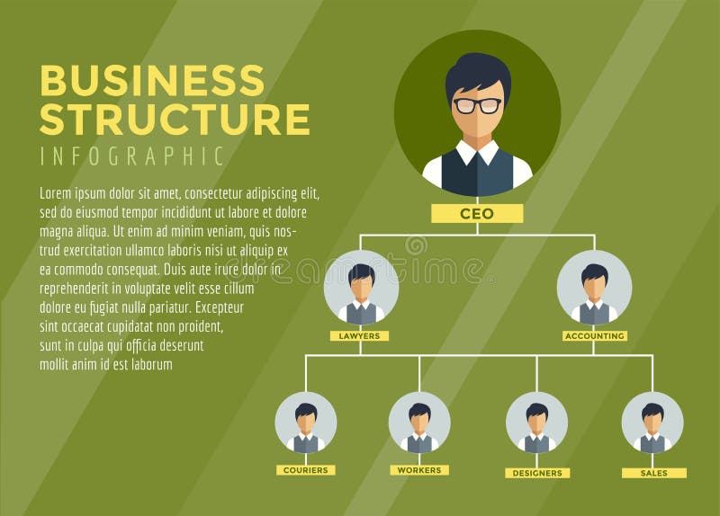 Business Structure Infographic Tree Infographic Stock Vector ...