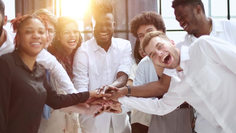 Large Business Team Showing Unity with Their Hands Together Stock Video ...