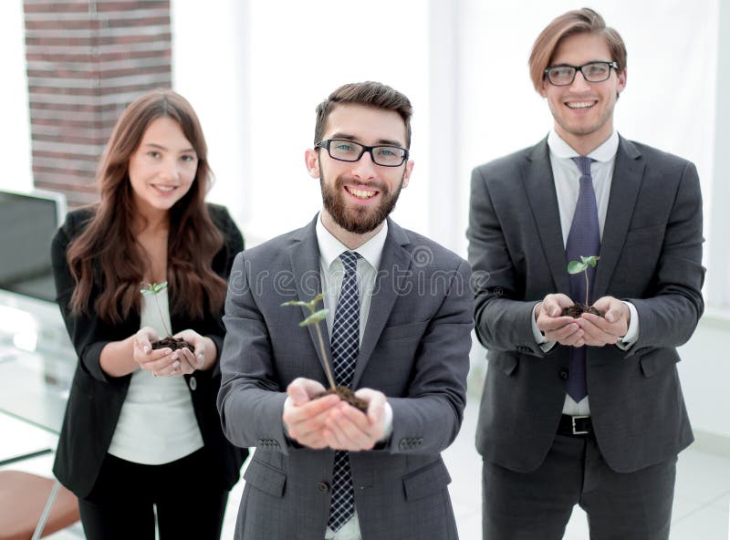 Business Team Show the First Shoots Stock Photo - Image of person ...