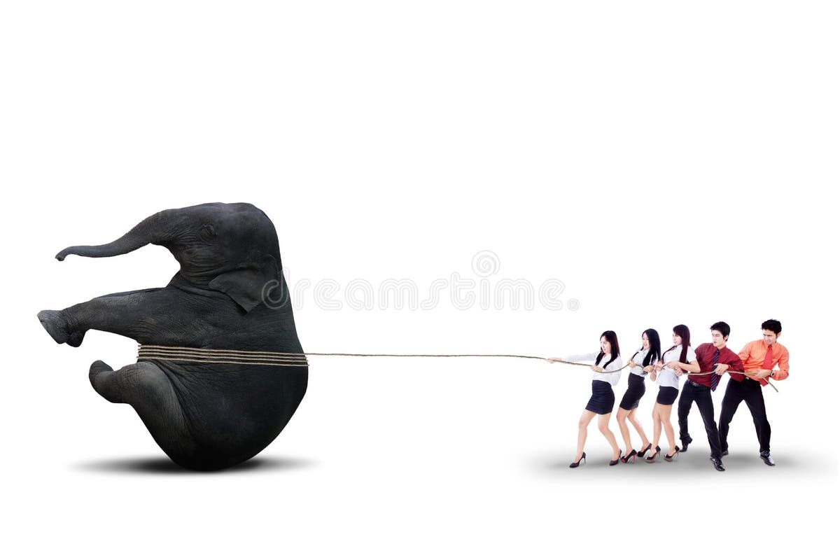 4,472 Teamwork Pulling Stock Photos - Free & Royalty-Free Stock Photos ...