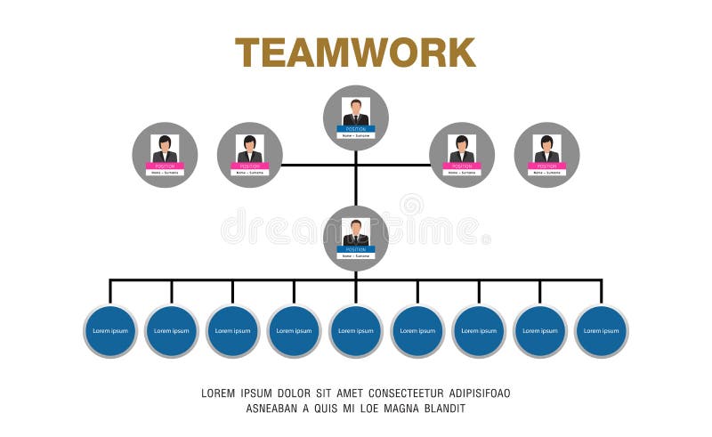 Organization Chart Infographicsbusiness Timeline Stock Illustration ...