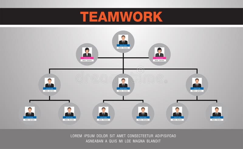 Organization Chart Infographicsbusiness Timeline Stock Illustration ...