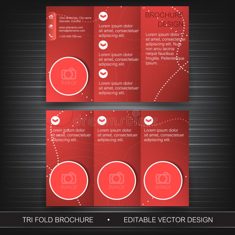 Business Tri-fold Flyer Template, Brochure or Cover Design Stock Vector ...