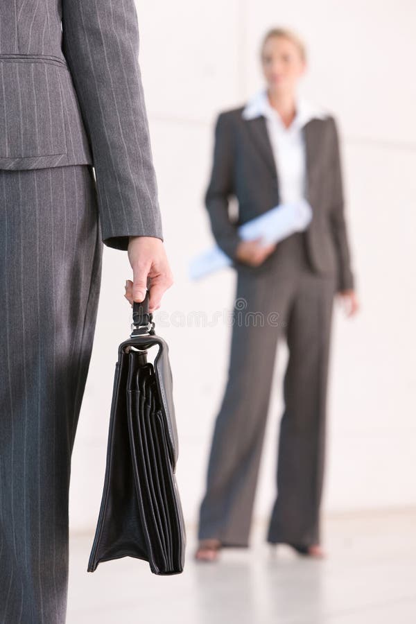 Business Woman Carrying Briefcase Stock Image - Image of blue ...