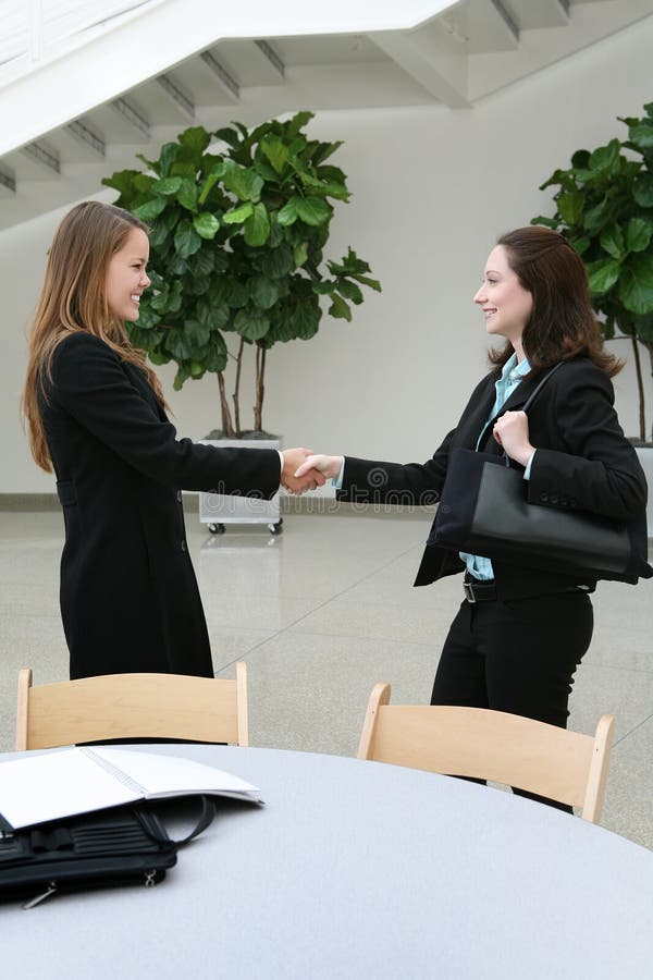 Business Introduction stock photo. Image of caucasian - 3050342