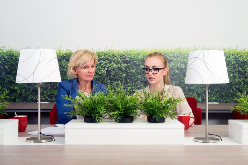 Business women in office stock image. Image of environment - 34619729