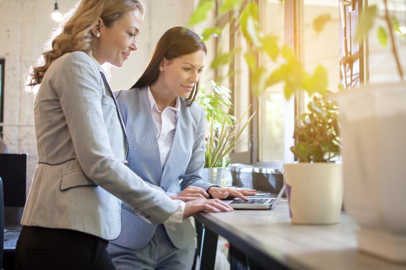 Business Women Working Together on Laptop at Office Stock Image - Image ...