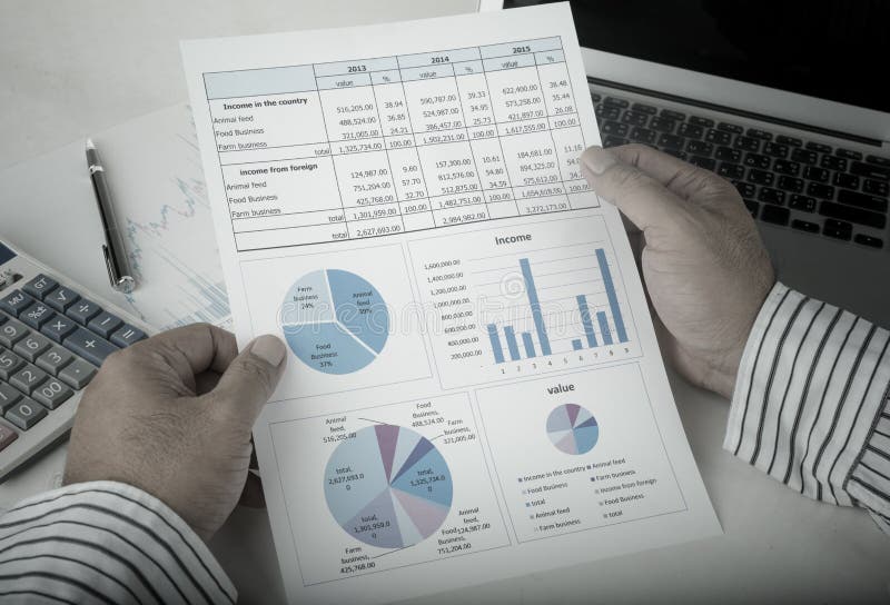 Businessman Analyzing Data Report Stock Image - Image of information ...