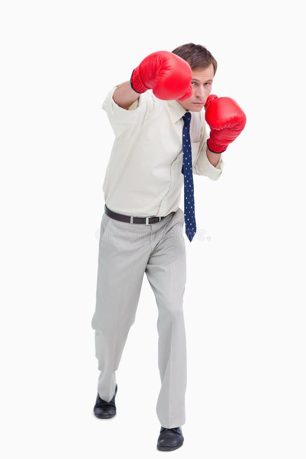 Businessman with Boxing Gloves Leading His Team Stock Photo - Image of ...