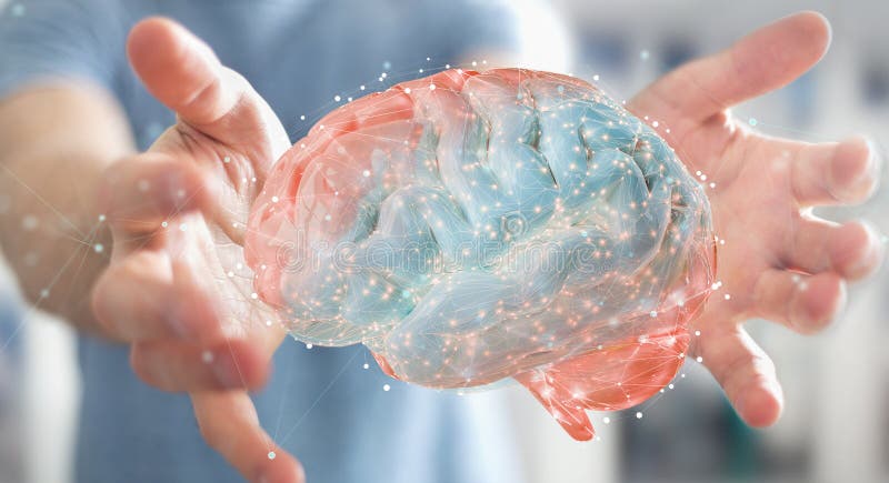 3D Brain Rendering in Side View Isolated on White Background with ...