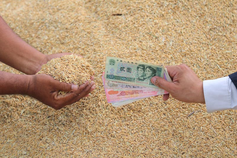 Businessman Buying Rice Grain Stock Photo - Image of storage, factory ...
