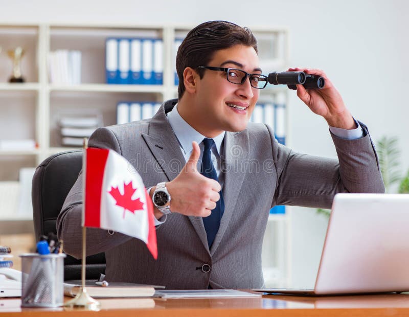 Businessman with Canadian Flag in Office Stock Photo - Image of courses ...