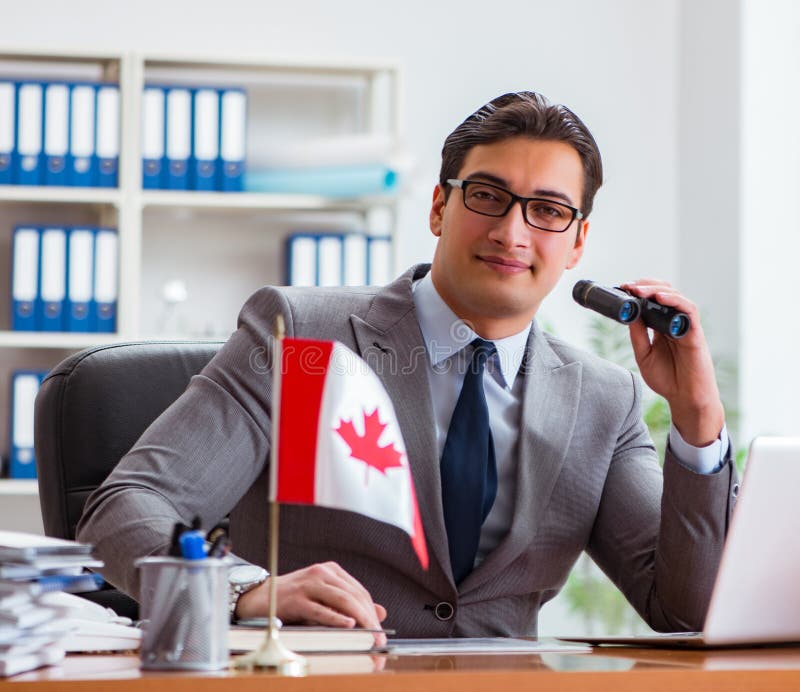 Businessman with Canadian Flag in Office Stock Photo - Image of flag ...
