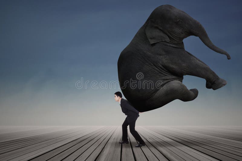 Businessman Carrying Heavy Elephant Stock Photos - Free & Royalty-Free ...