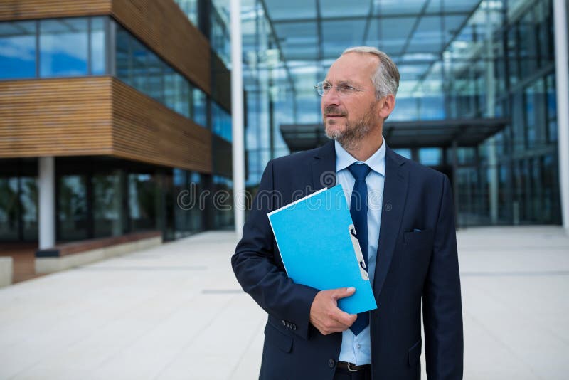 Businessman Carrying an Official File Stock Image - Image of ...