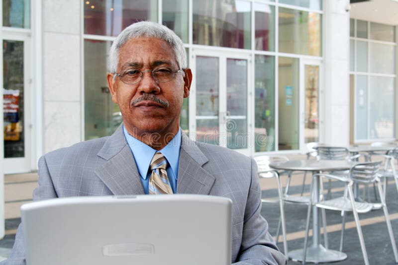 Businessman on Computer stock photo. Image of internet - 5112696