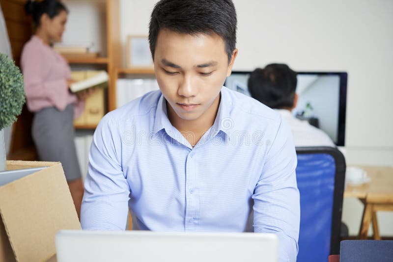 Businessman Concentrated on Work Stock Photo - Image of expertise ...