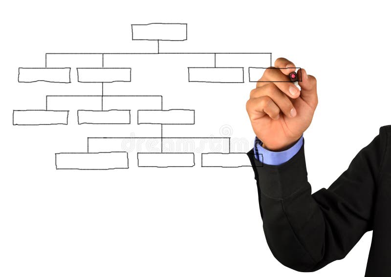 Man Drawing an Organization Chart Stock Photo - Image of flowchart ...