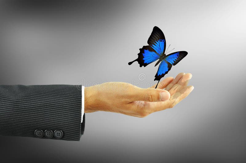 120 Hand Releasing Butterfly Stock Photos - Free & Royalty-Free Stock ...