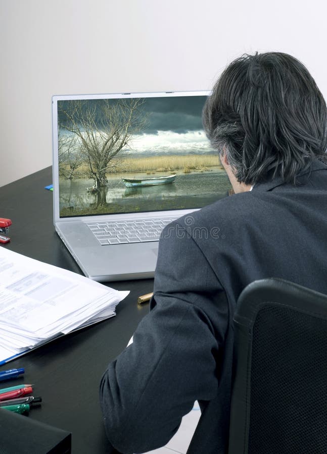 Businessman Looking at His Computer Screen Stock Photo - Image of ...