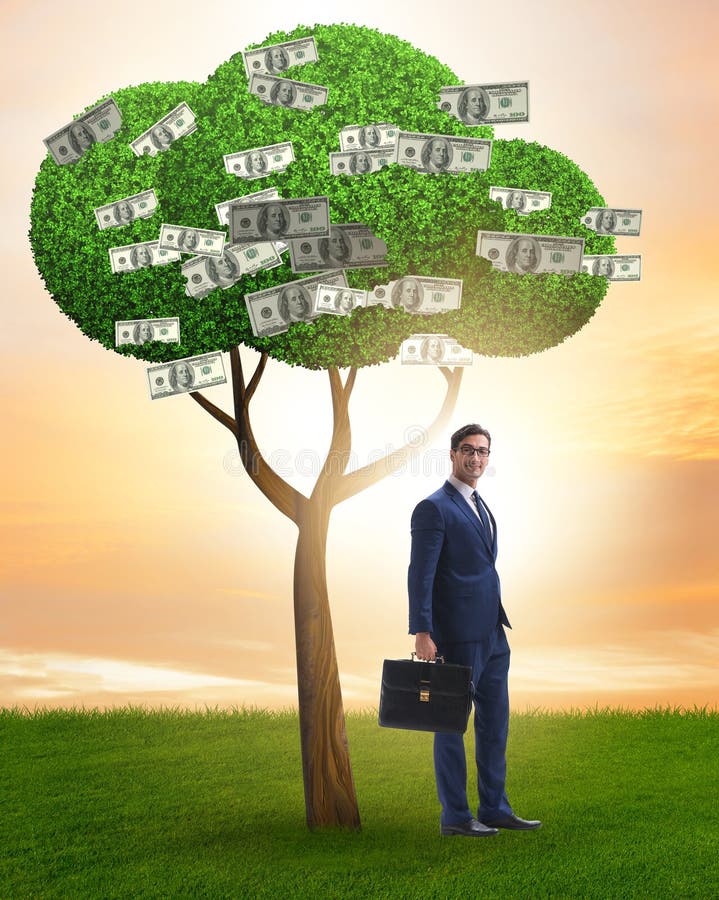 Businessman with Money Tree in Business Concept Stock Photo - Image of ...