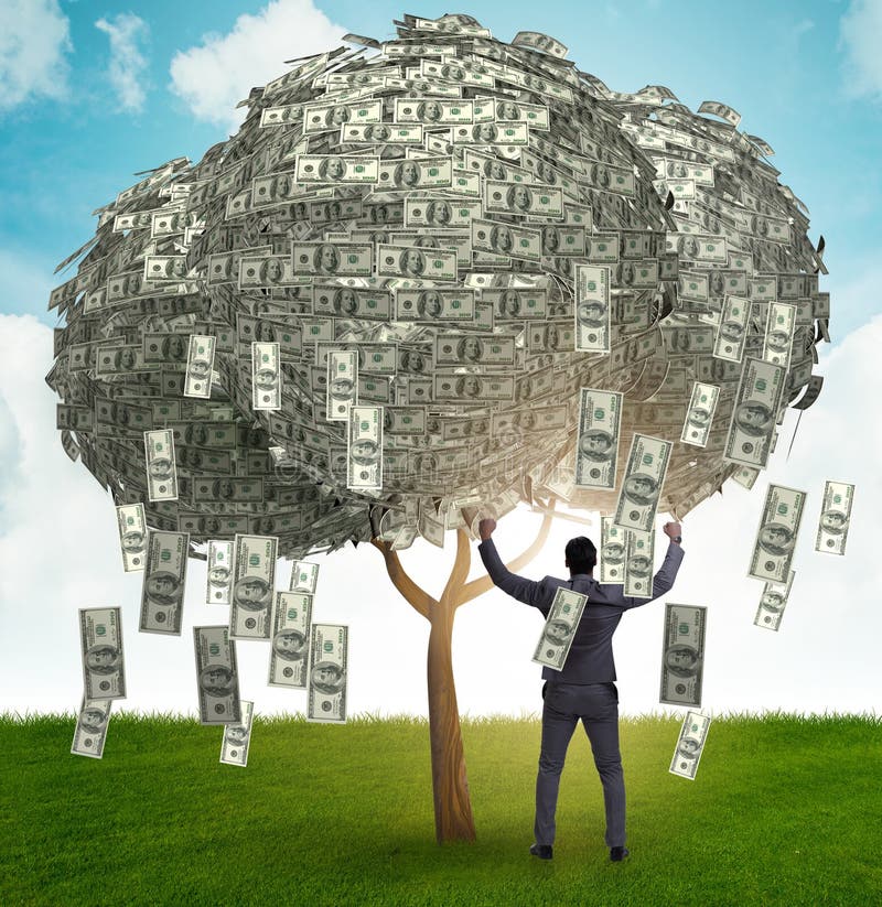Businessman with Money Tree in Business Concept Stock Image - Image of ...