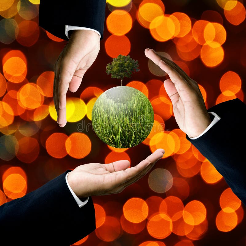 Businessman Protect Green Plant by Hand Stock Photo - Image of global ...