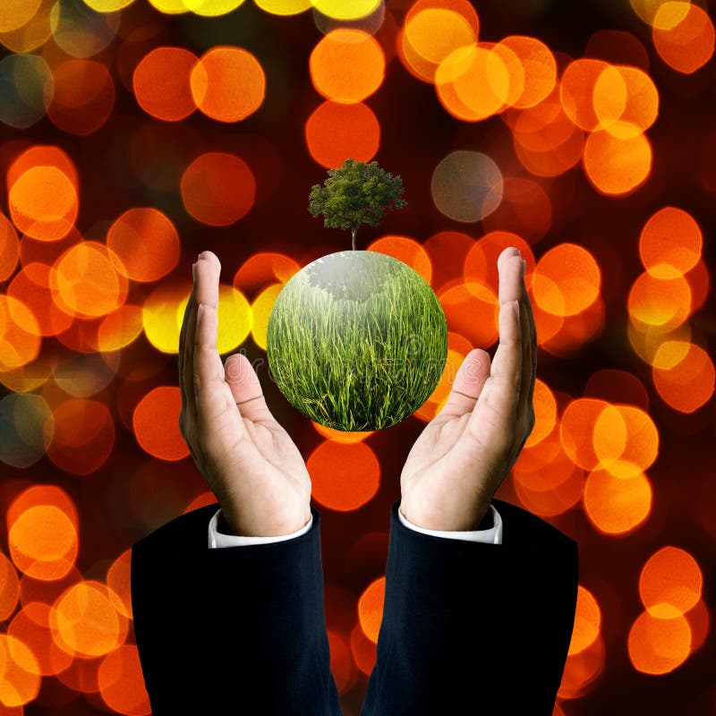 Businessman Protect Green Plant by Hand Stock Image - Image of hands ...