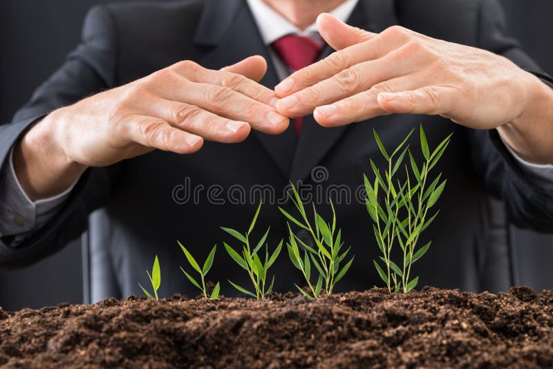 Hand with Pen Over Blank Form Stock Photo - Image of application, check ...