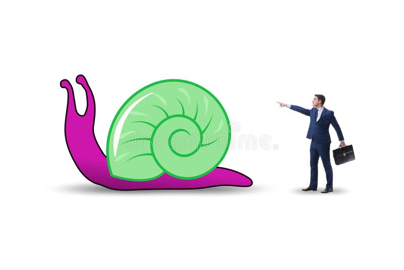 Businessman with Snail in Slow Business Concept Stock Image - Image of ...