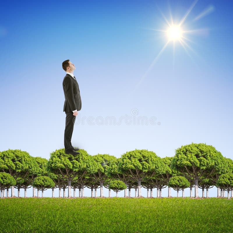 Businessman Standing on Trees Stock Image - Image of land, nature: 41044759