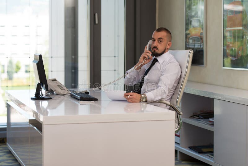 Businessman Talking on Telephone and Using Computer Stock Photo - Image ...
