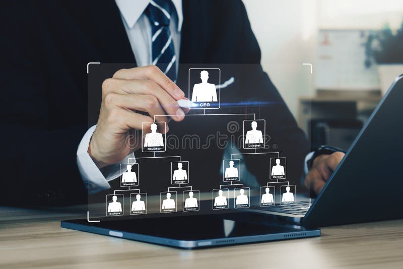 Businessman Touching Organization Chart with Hierarchy Structure of ...