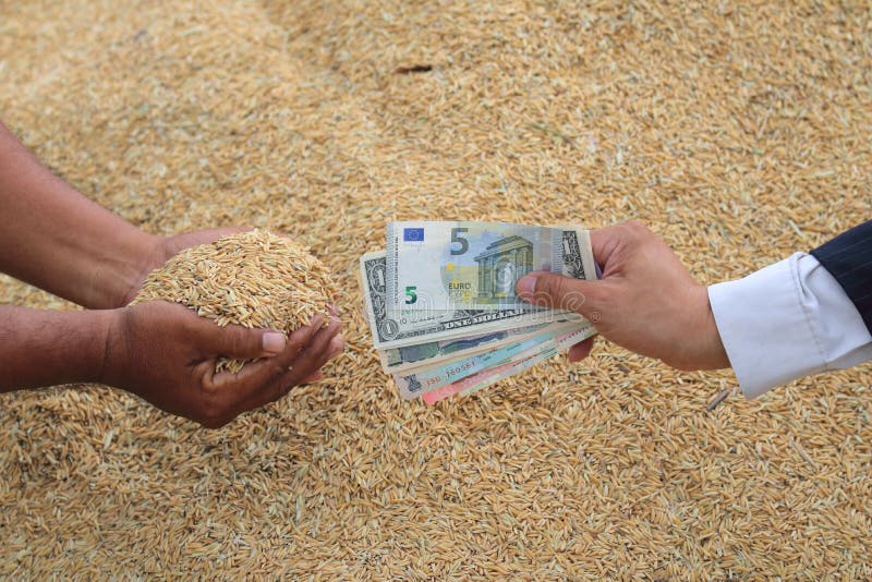 302 Trading Rice Stock Photos - Free & Royalty-Free Stock Photos from ...