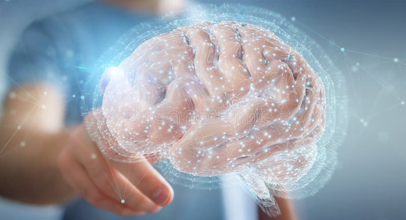 3D Brain Rendering in Side View Isolated on White Background with ...