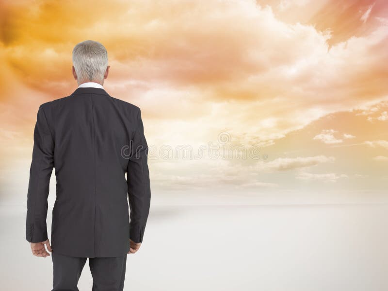 Businessman Walking Away from Camera Stock Photo - Image of business ...