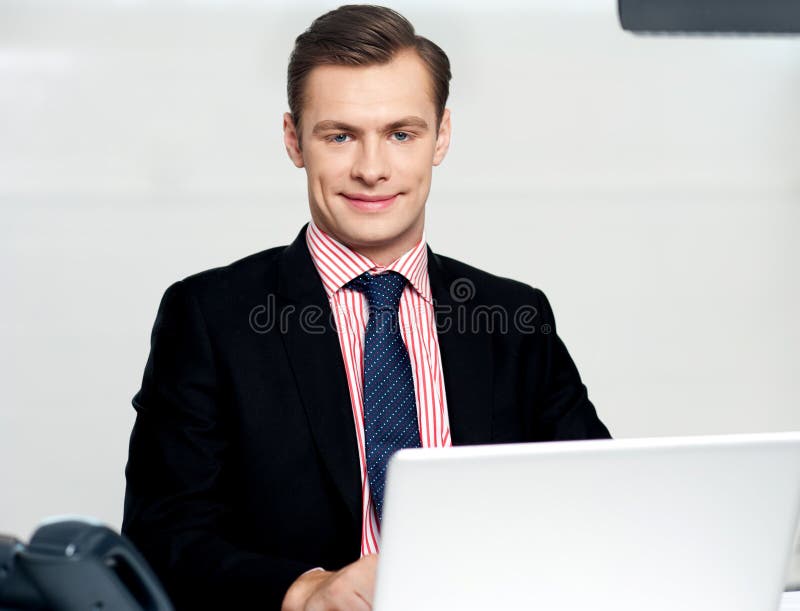 Businessman Working on Laptop Stock Photo - Image of boss, entrepreneur ...