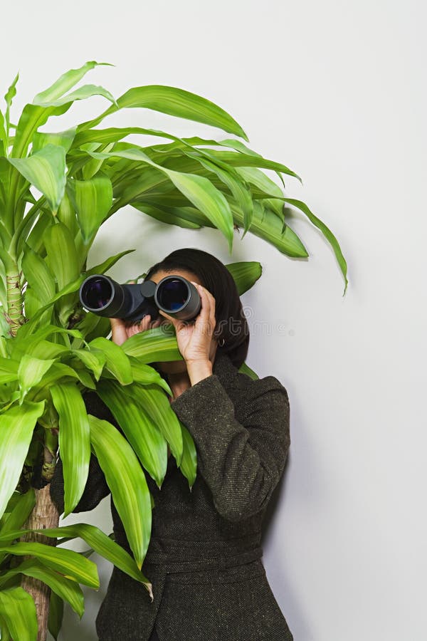 Businesswoman Hiding Behind Plant with Binoculars Stock Image - Image ...